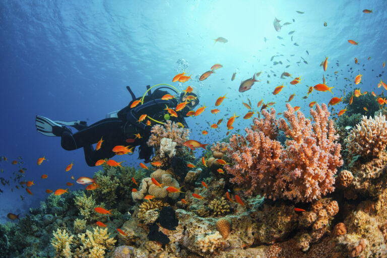 Things To Do In Hurghada - Experience The Best of Hurghada